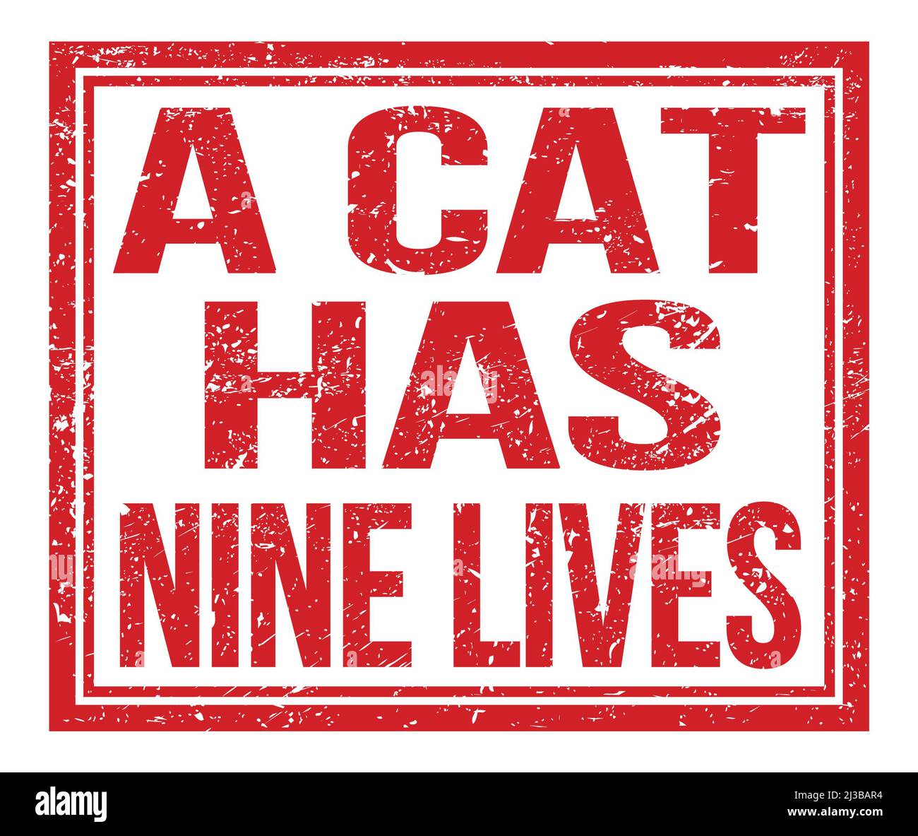 A cat has nine lives hi-res stock photography and images - Alamy