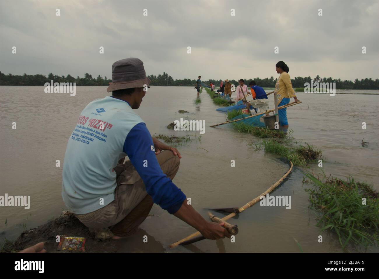 Farmers fishing with fish nets on a flooded rice field as an ...