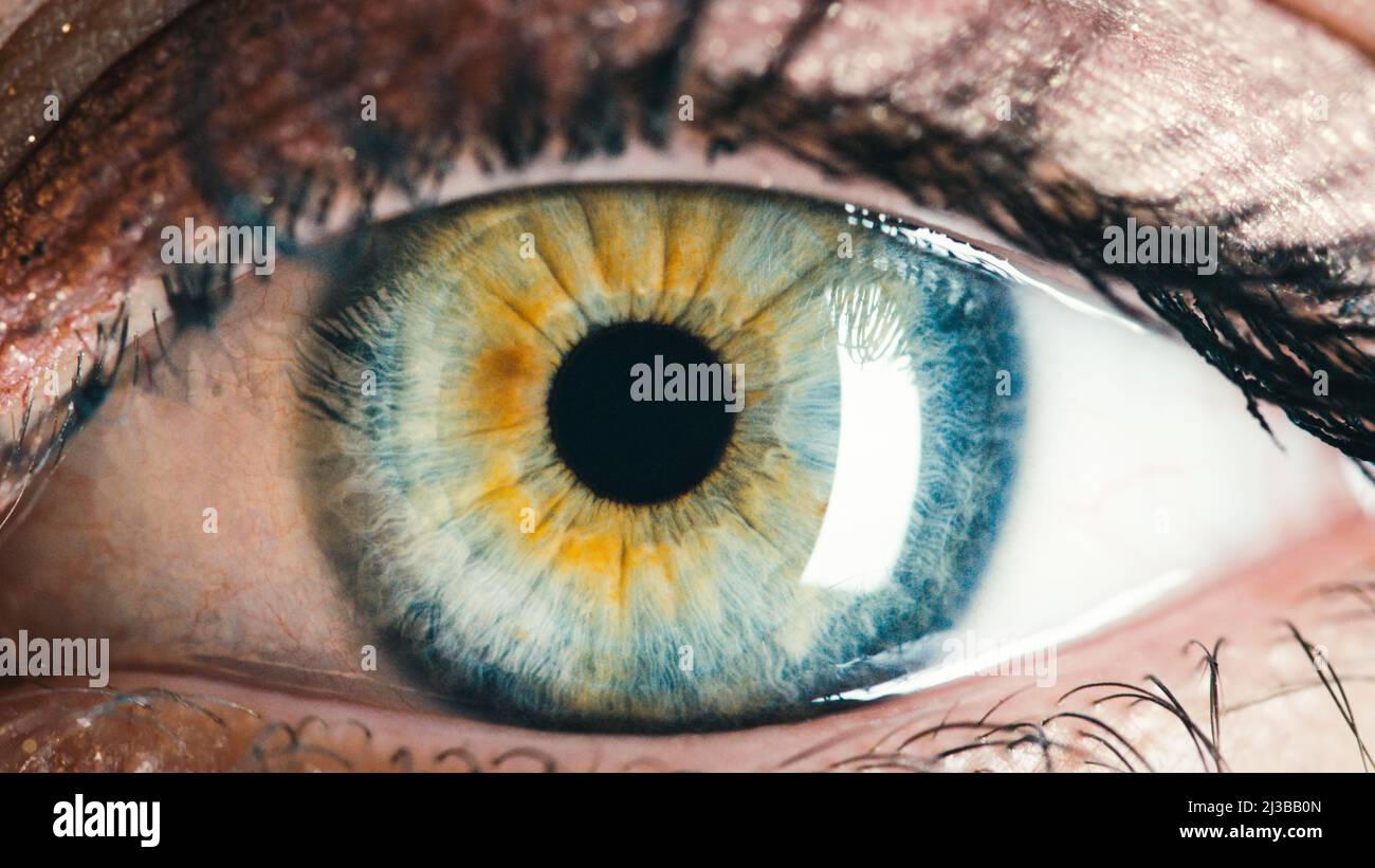 Microscopic Blue Eye