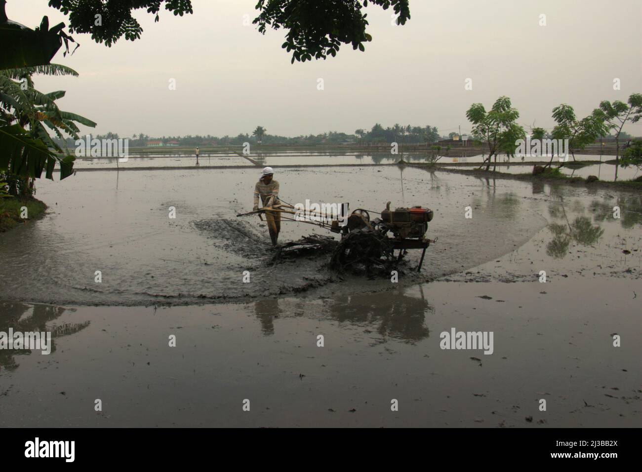 A farmer plowing a flooded rice field with a tractor in Batujaya ...