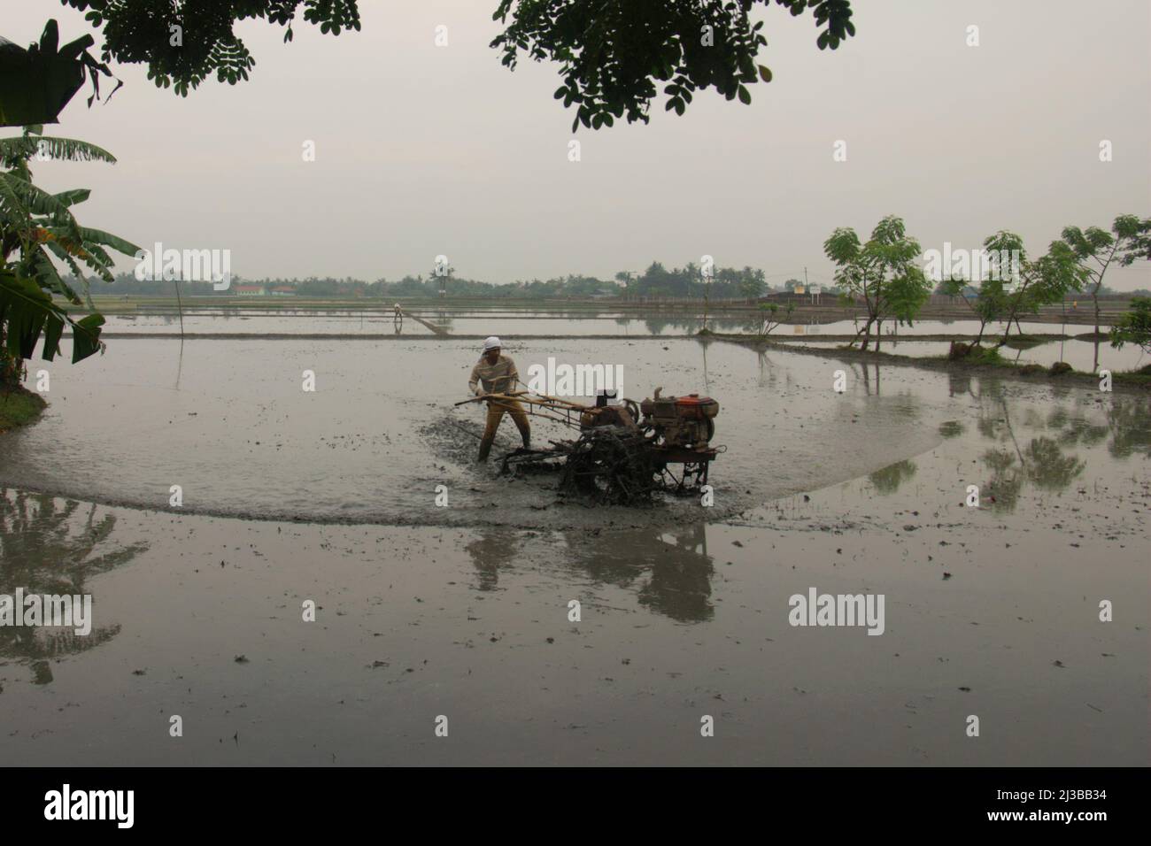 A farmer plowing a flooded rice field with a tractor in Batujaya ...