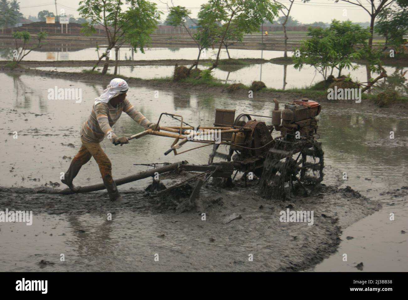 A farmer plowing a flooded rice field with a tractor in Batujaya ...