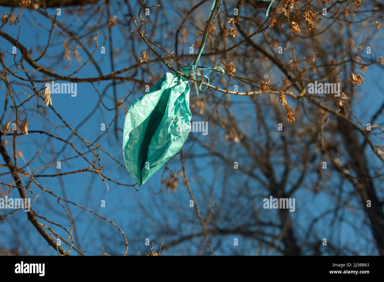 Balloon stuck tree hi-res stock photography and images - Alamy