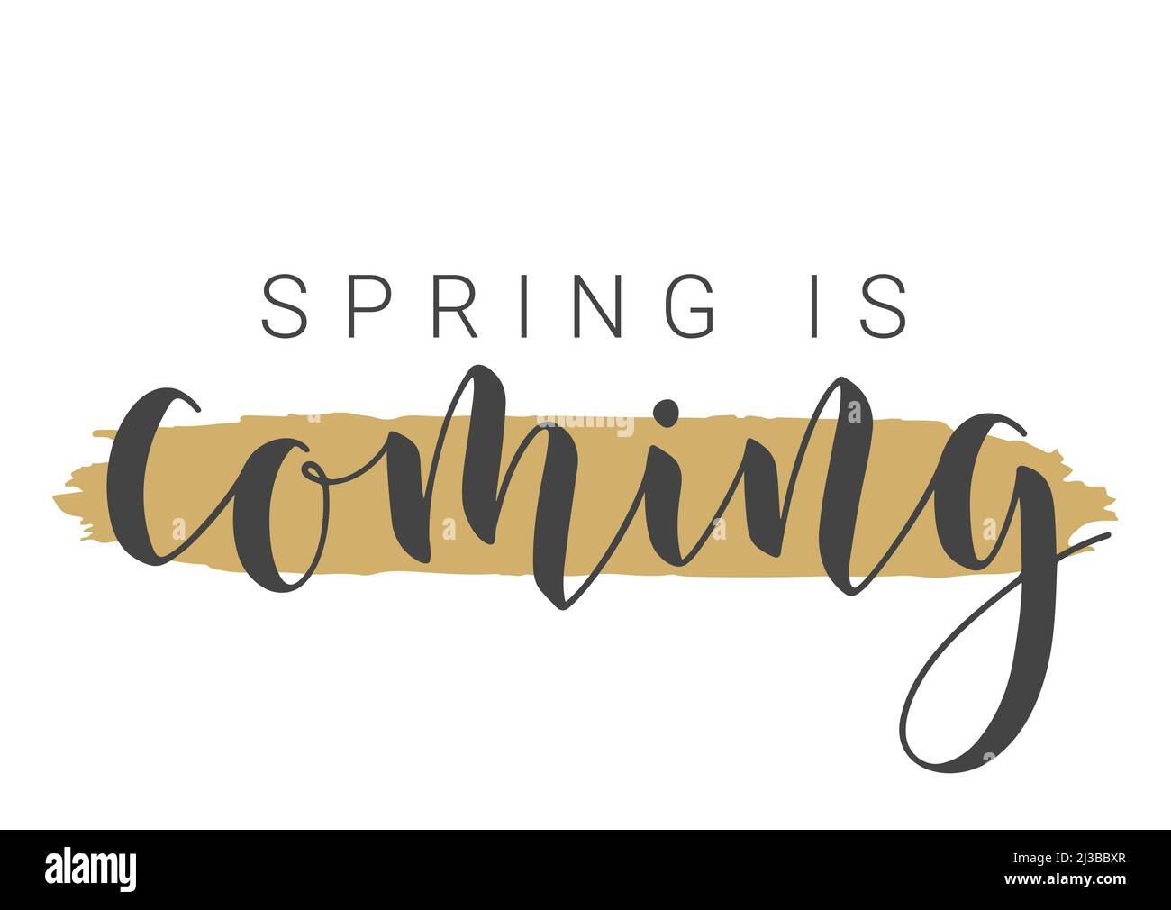 Handwritten Lettering of Spring Is Coming. Template for Banner, Card ...