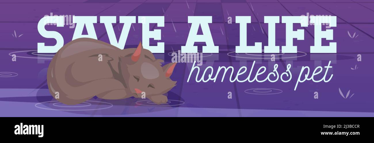 Save life homeless pet poster with sleeping cat under rain. Concept of ...