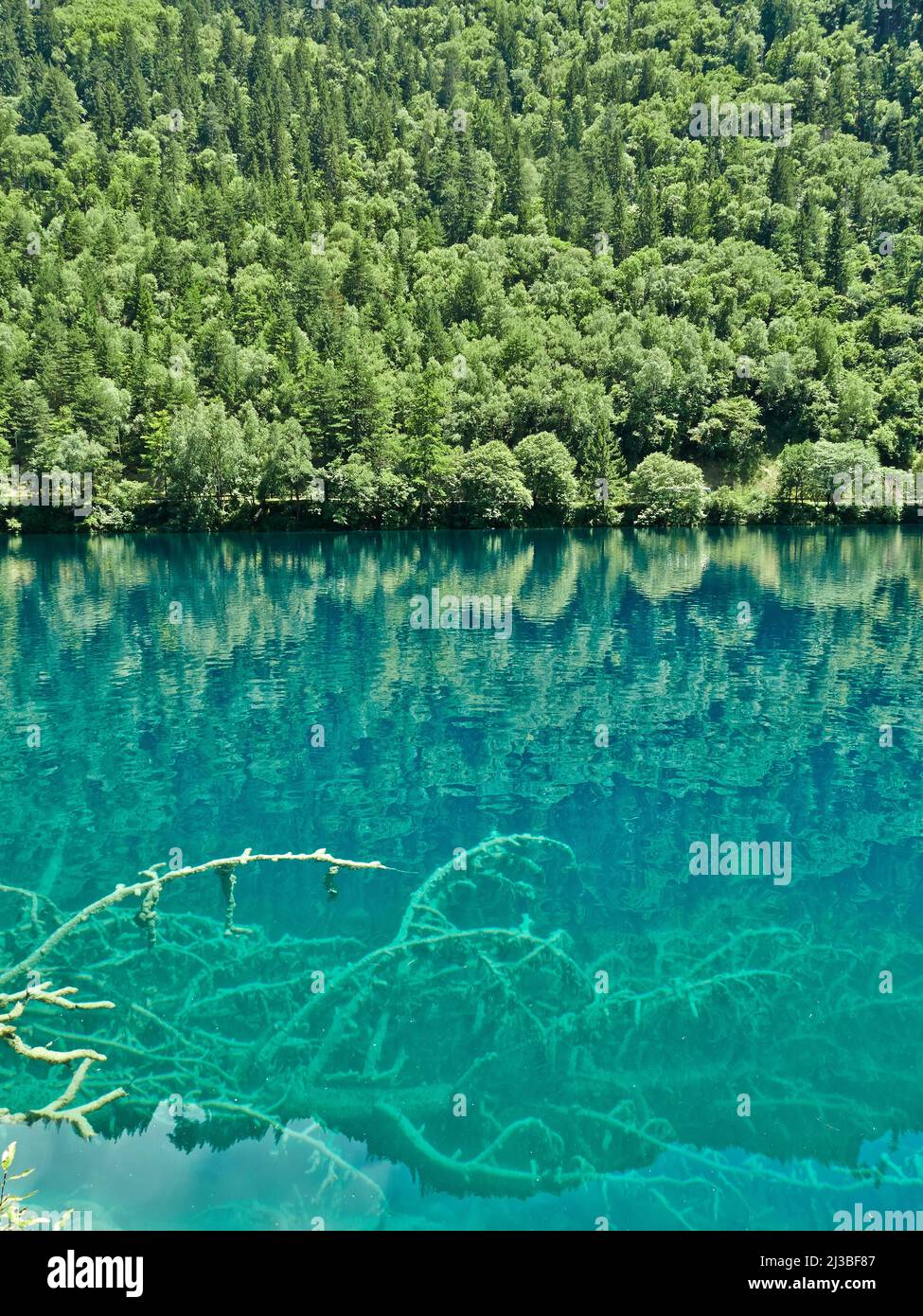 The landscape view of a transparent blue lake reflecting the forest ...