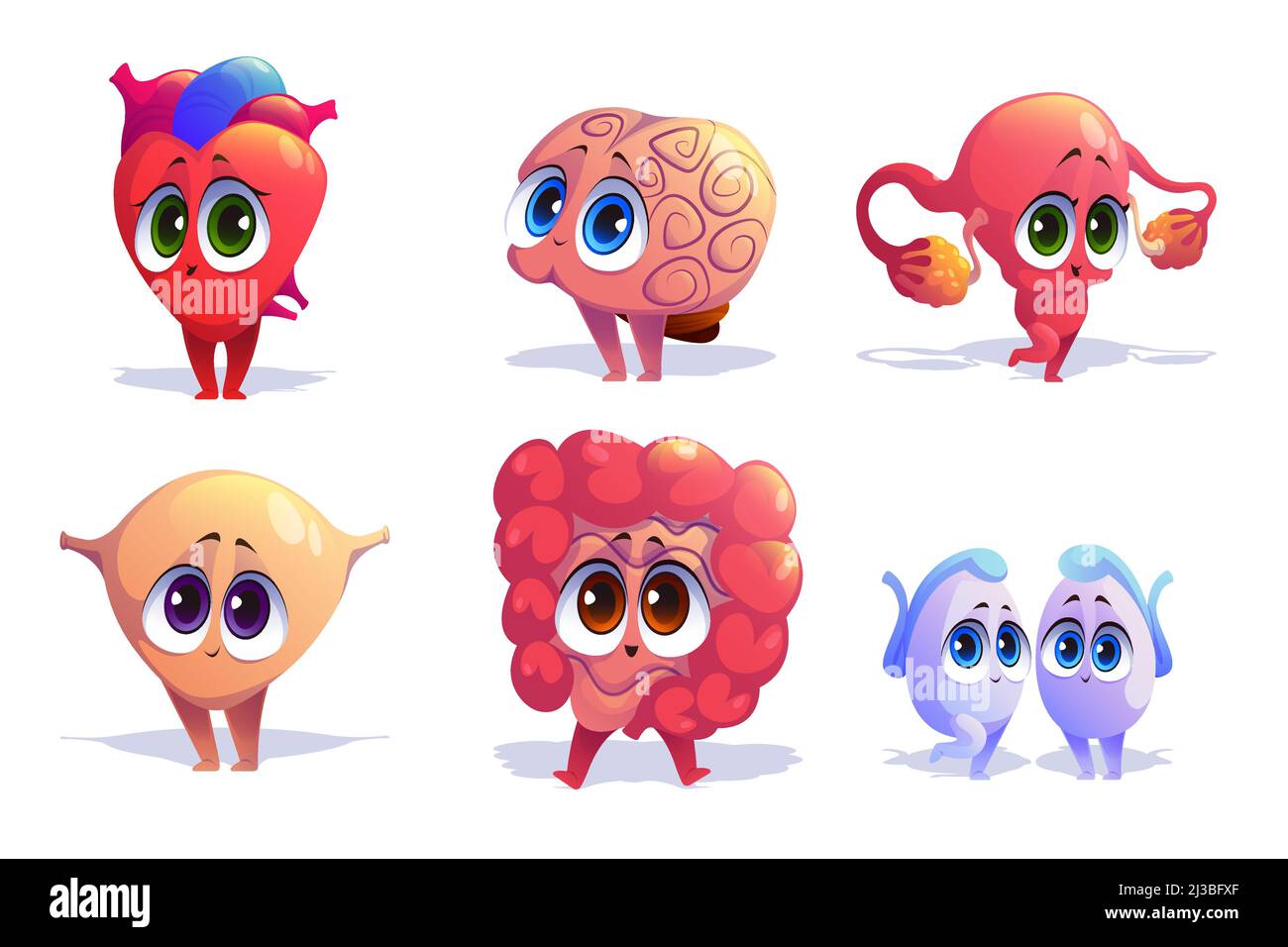 Human body organs cartoon characters heart, brain, uterus and bladder ...