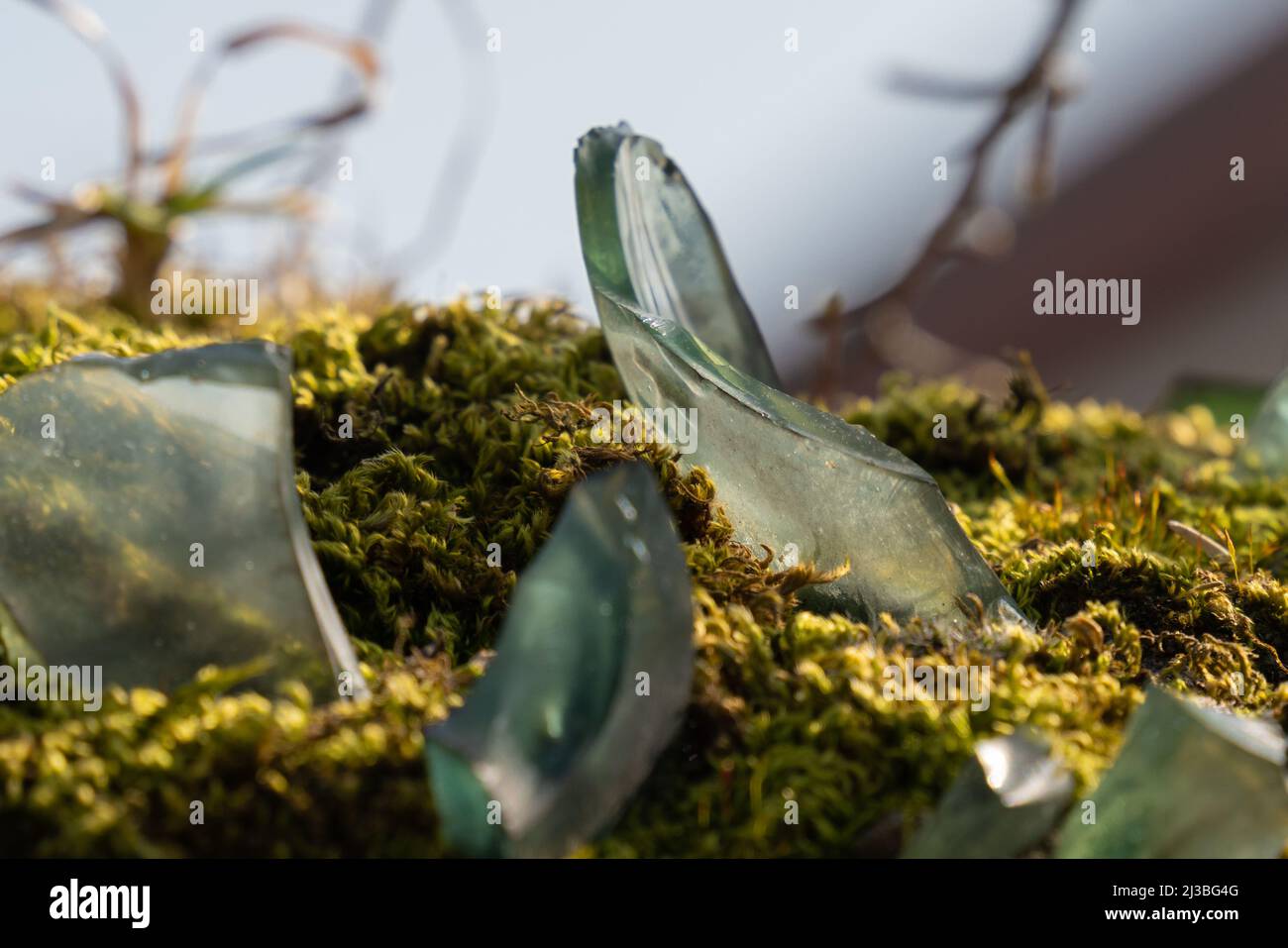 Embedded broken glass, wall top, security measure, illegal, dangerous ...