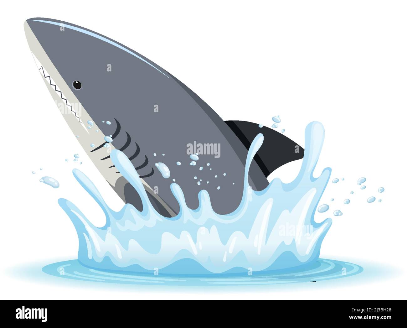 A water splash with shark on white background illustration Stock Vector ...