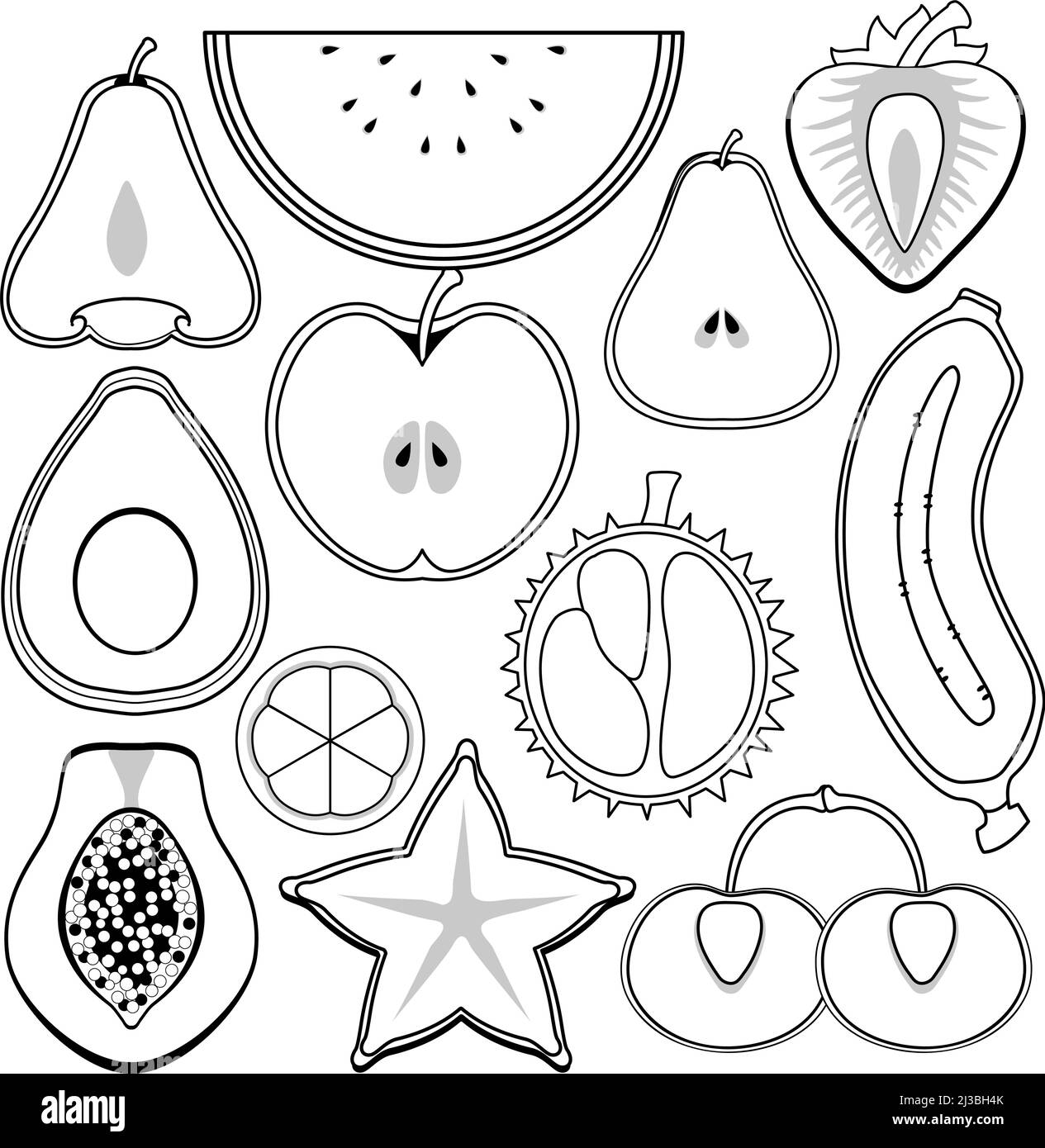 A set of doodle about fruit on white background illustration Stock ...