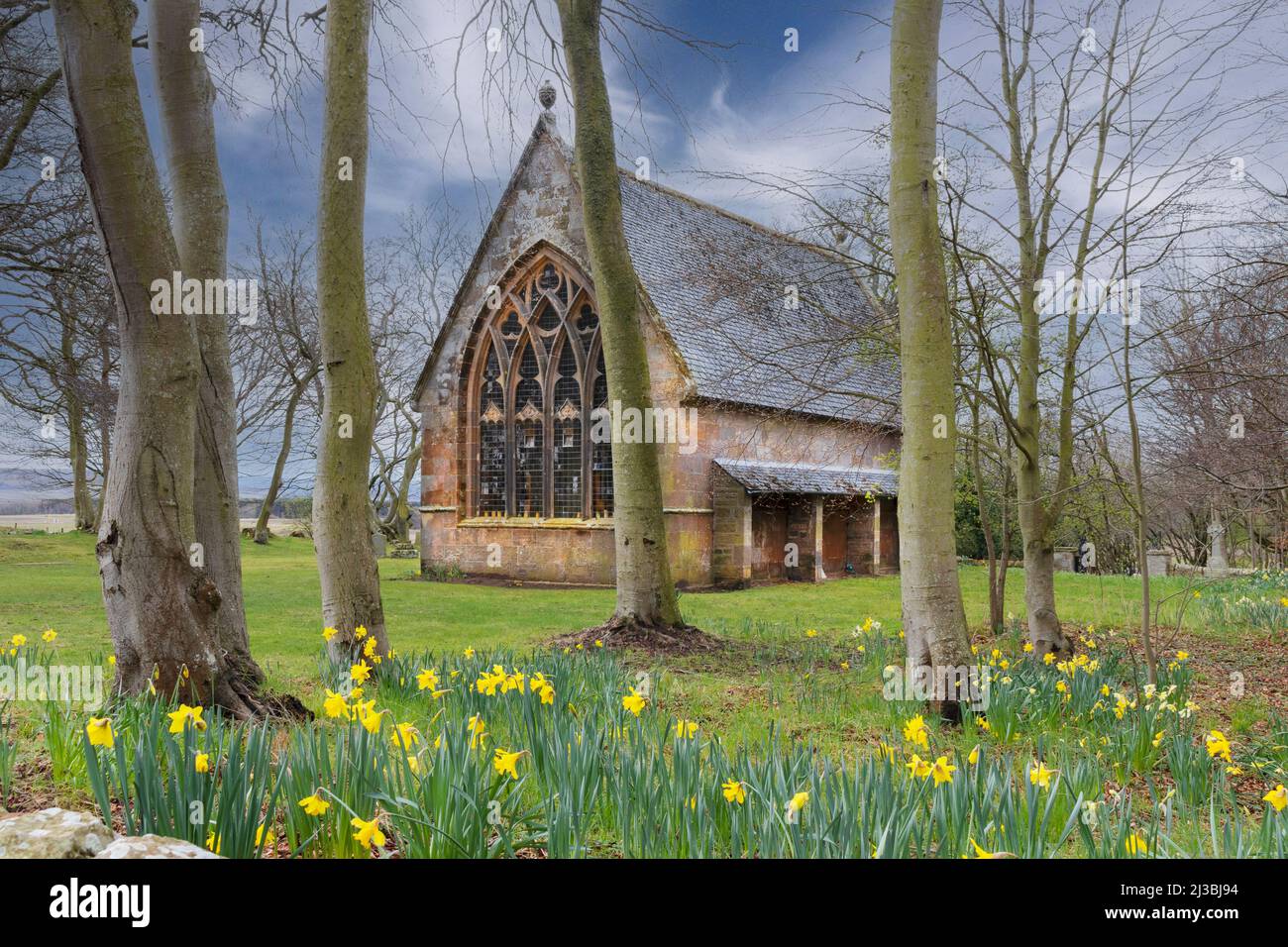 ST MICHAEL KIRK GORDONSTOUN SCHOOL MORAY SCOTLAND AND DAFFODILS IN ...