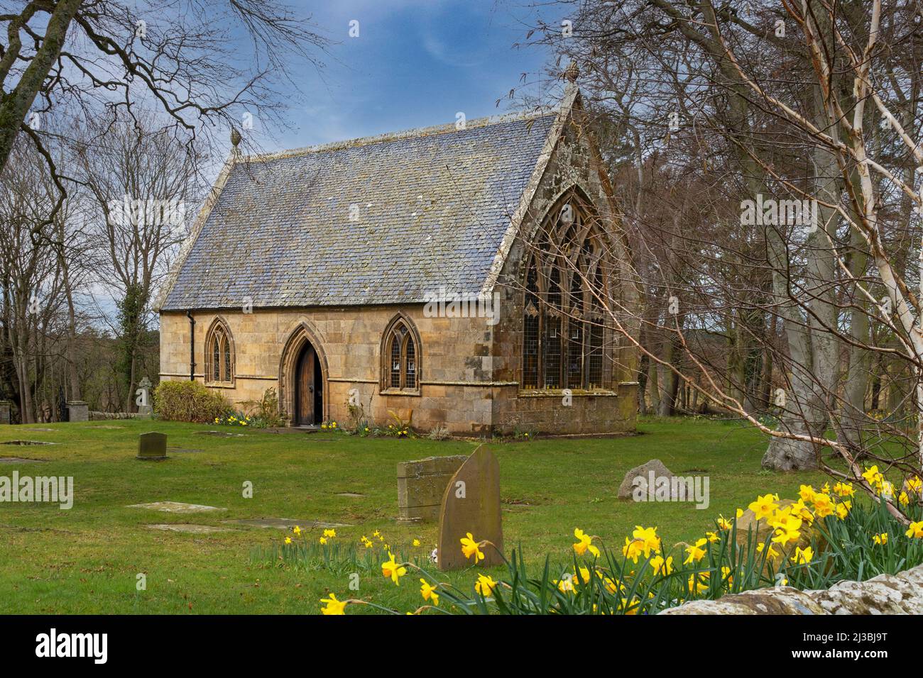 ST MICHAEL KIRK GORDONSTOUN SCHOOL MORAY SCOTLAND AND DAFFODILS IN ...