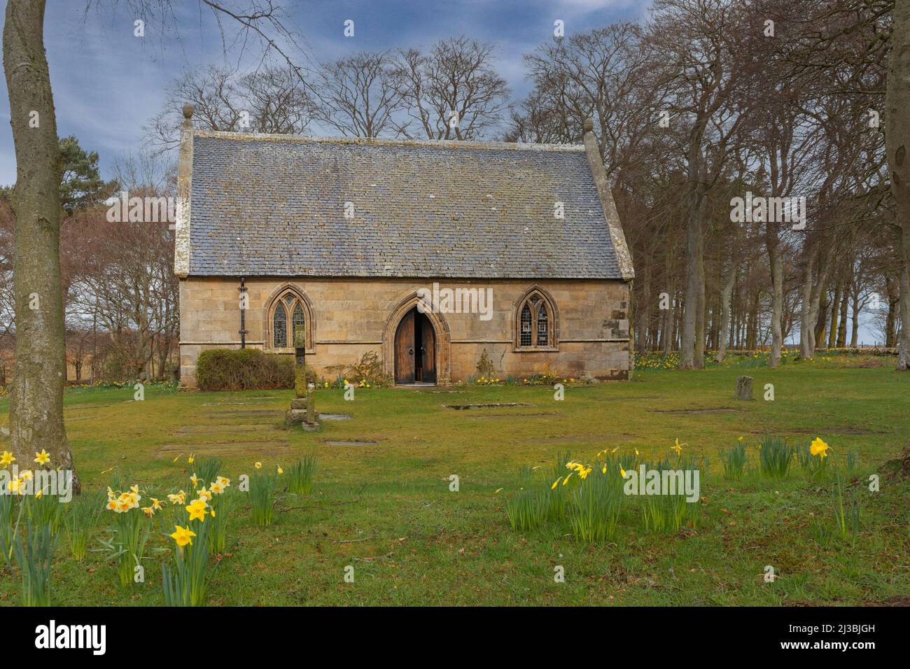 ST MICHAEL KIRK GORDONSTOUN SCHOOL MORAY SCOTLAND WITH DAFFODILS IN ...
