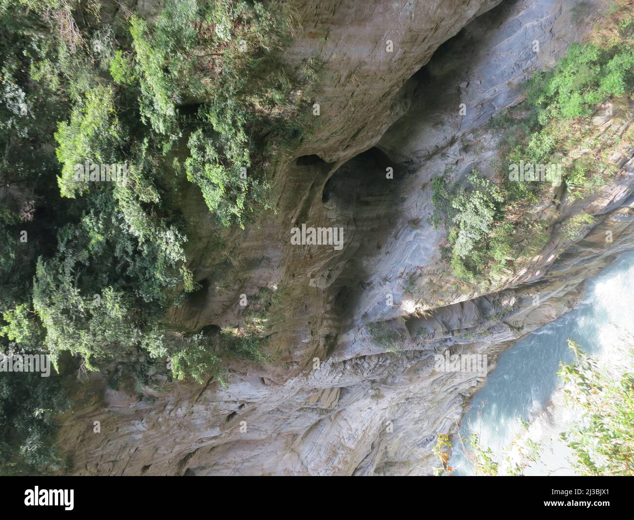A high angle shot of a cliff covered with trees and vegetation and a ...