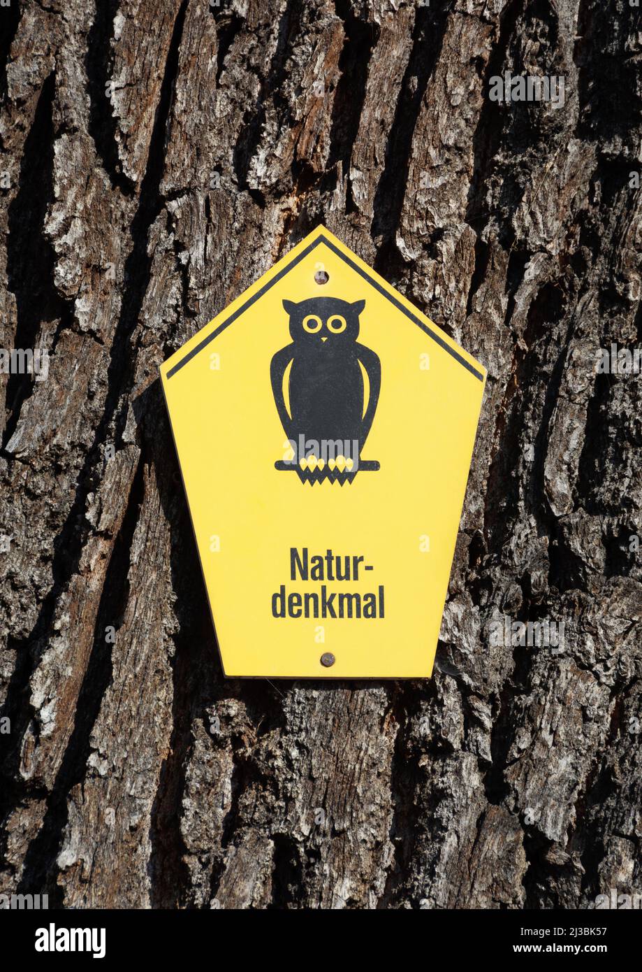 А German sign "Naturdenkmal" (natural monument) on tree trunk, portrait ...