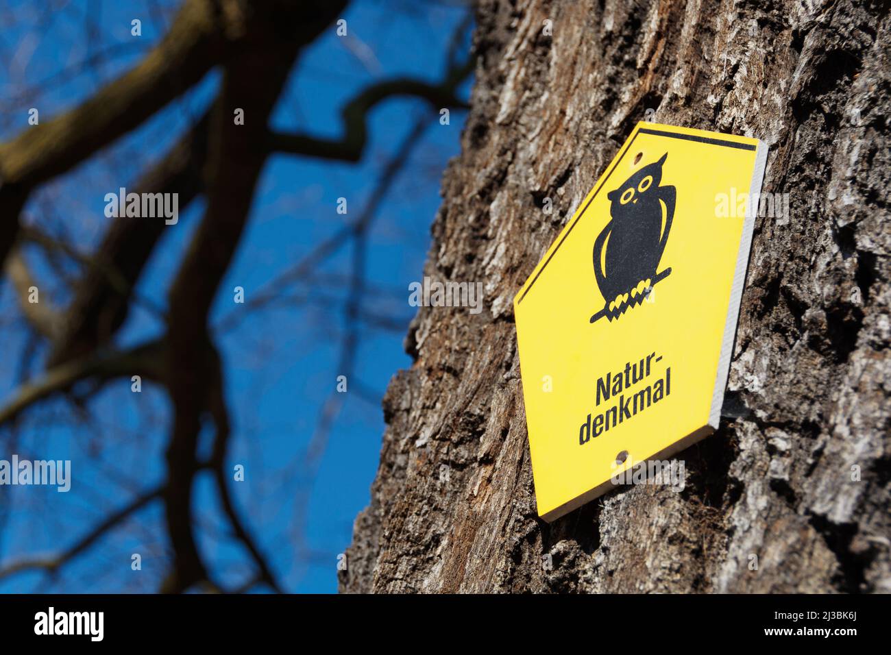 German nature symbolism hi-res stock photography and images - Alamy