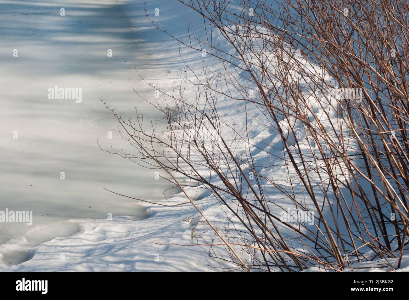 Moscow sokolniki park hi-res stock photography and images - Alamy