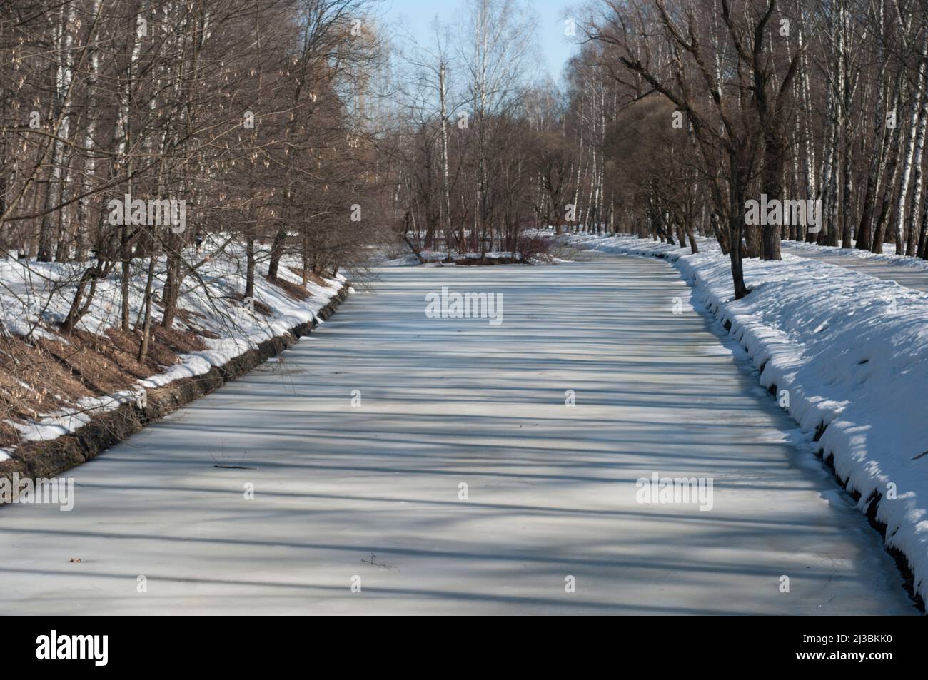 Early spring in a park, Sokolniki reservation park, Moscow Stock Photo ...
