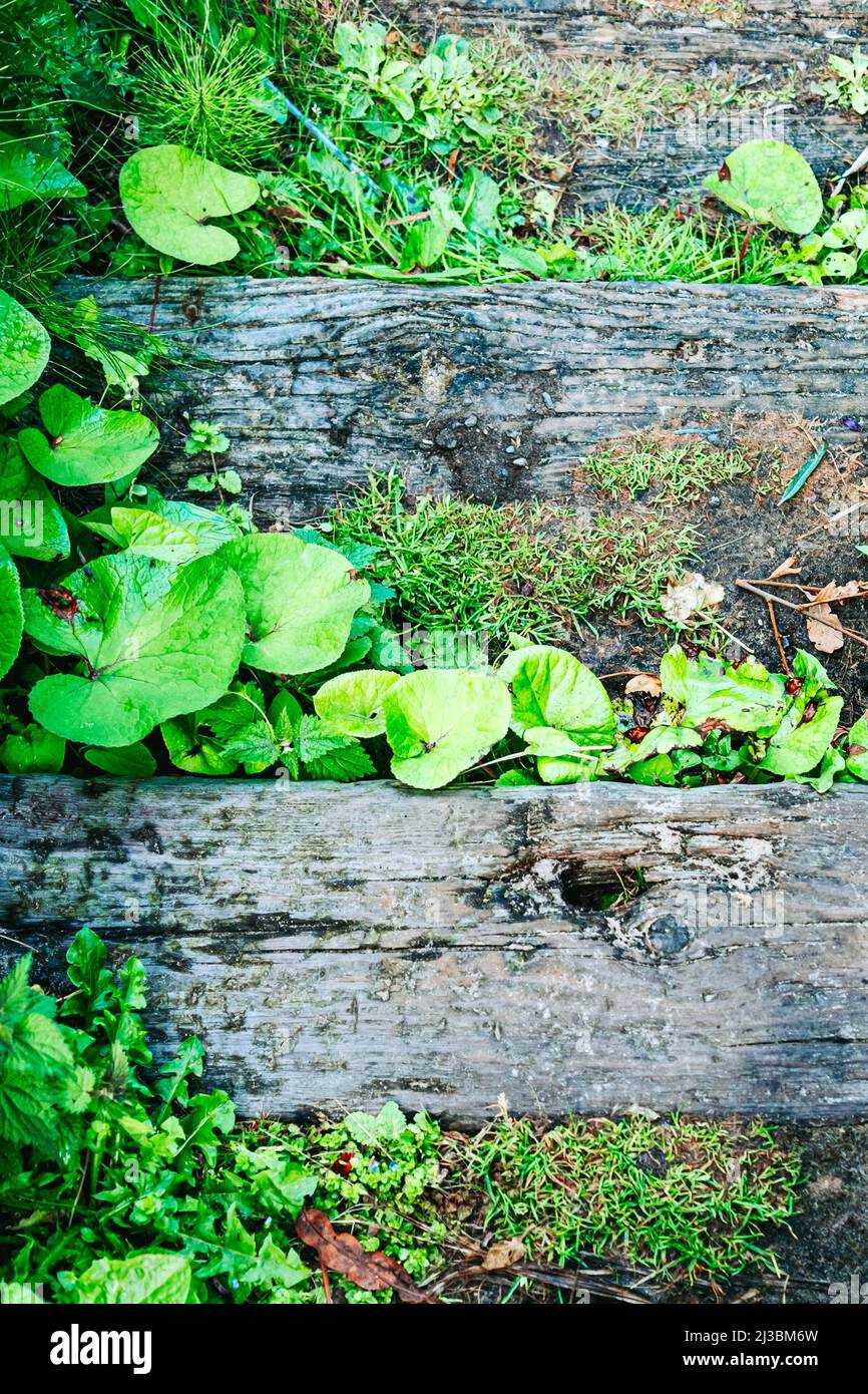 Railroad steps stairs hi-res stock photography and images - Alamy