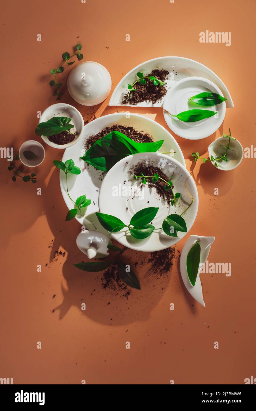 Porcelain collection hi-res stock photography and images - Alamy