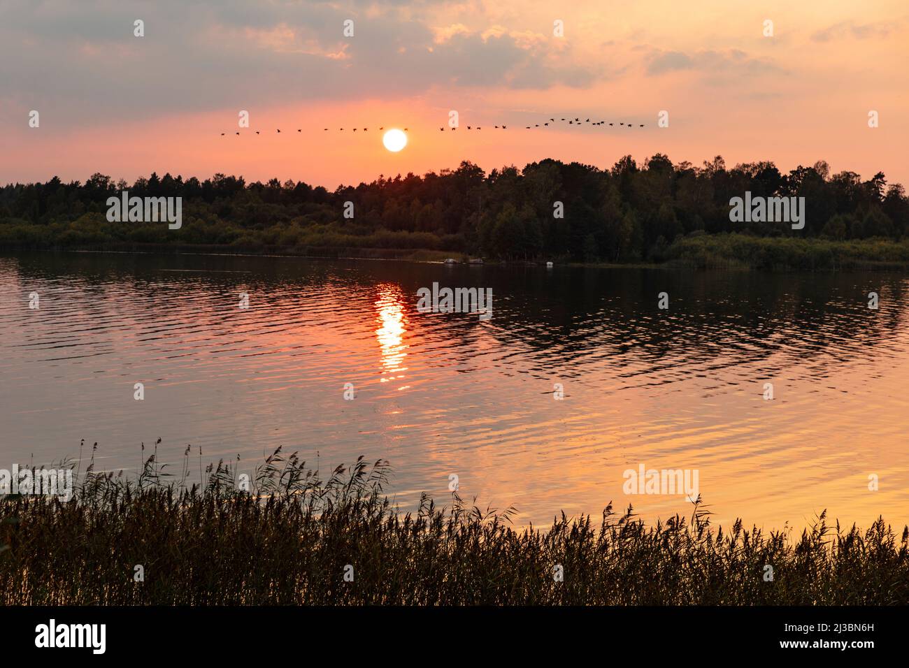 Sunset over lake Stock Photo - Alamy