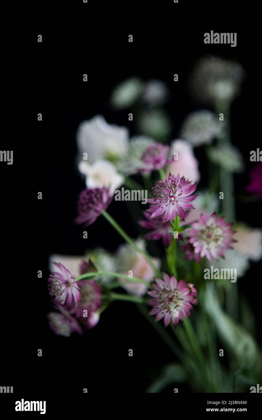 Nobody vertical close up hi-res stock photography and images - Alamy