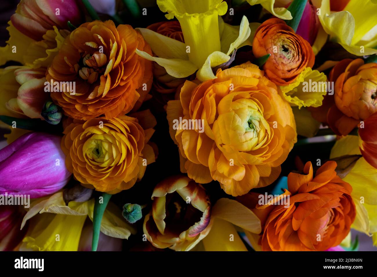 Multi colored flower bouquet hi-res stock photography and images - Alamy