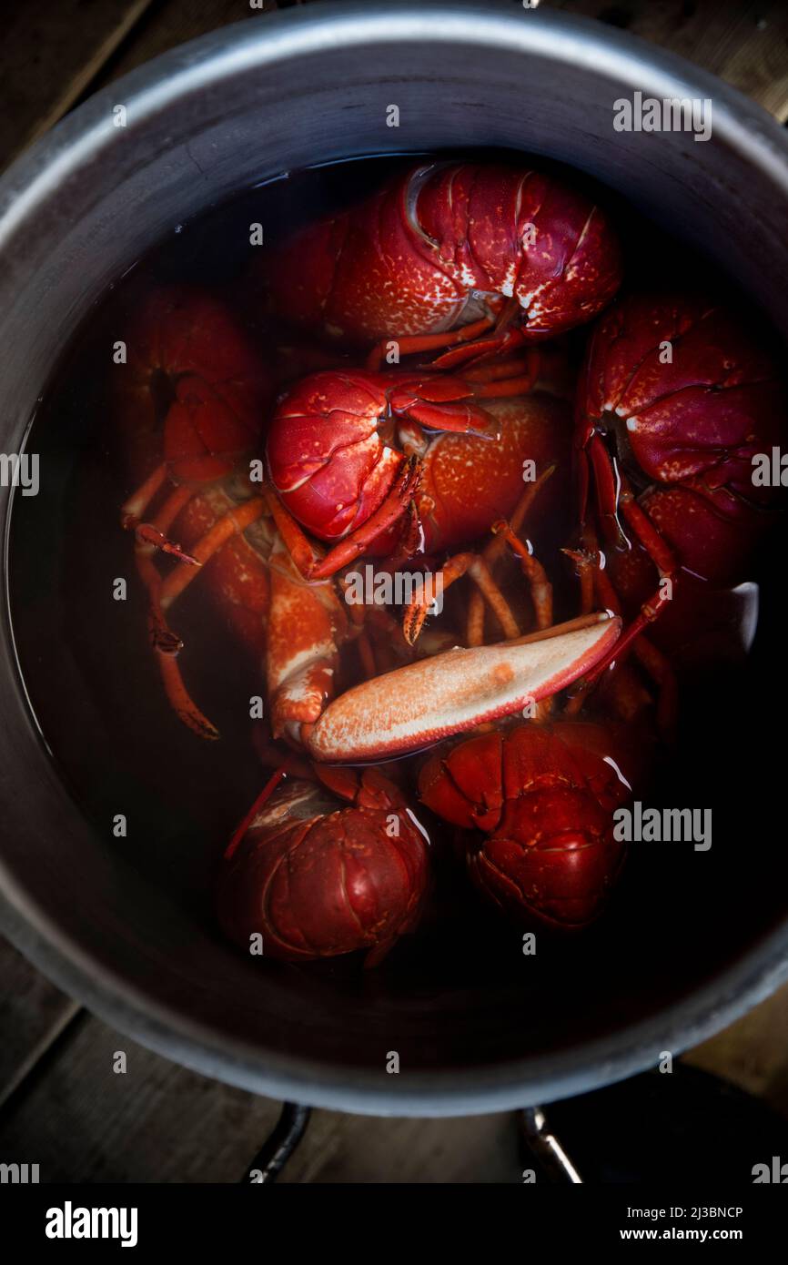 Place lobster hi-res stock photography and images - Alamy