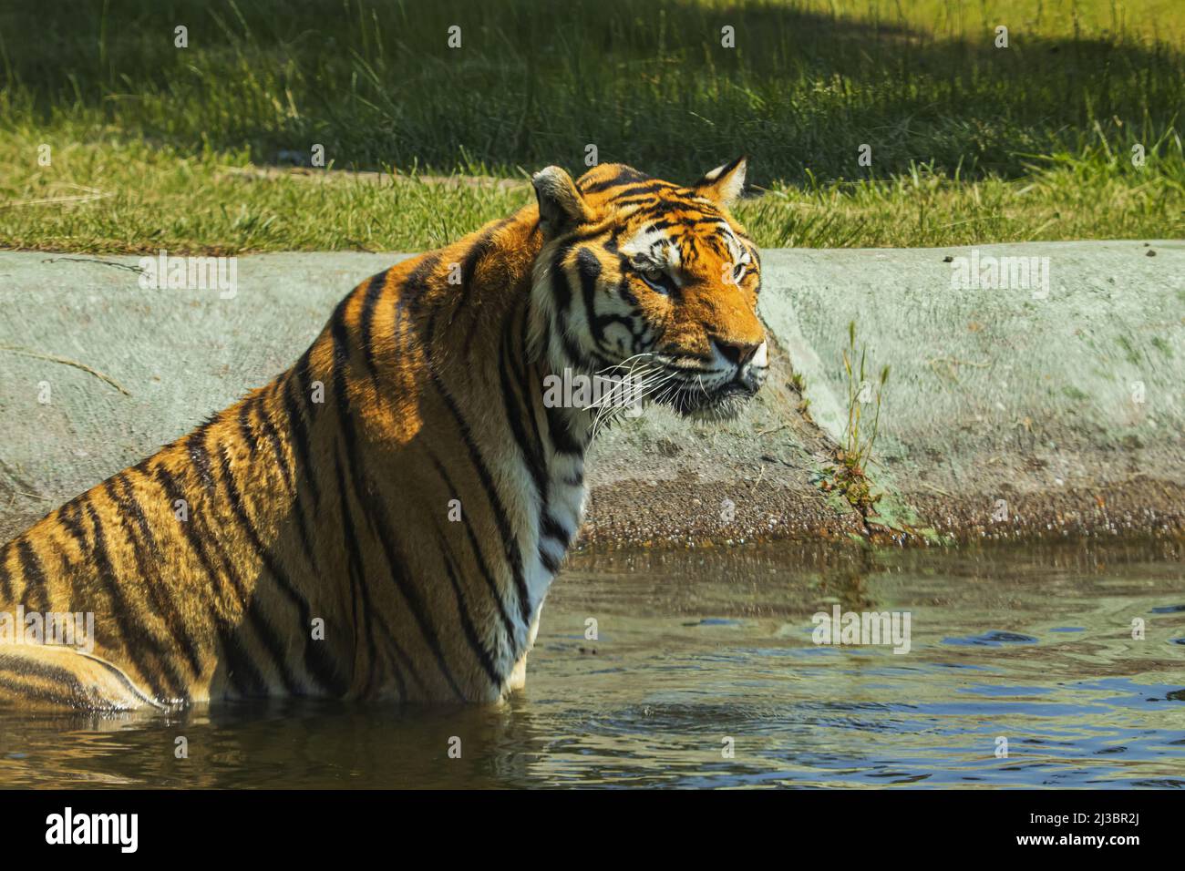 Zoologic park hi-res stock photography and images - Alamy