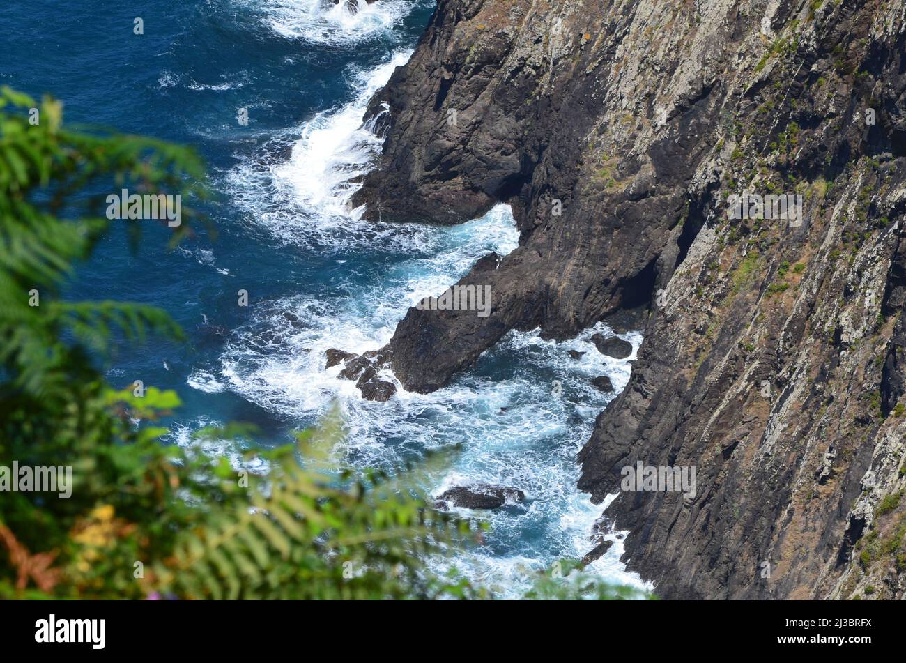 Vereda da Boca do Risco walking path in Madeira’s north-eastern coast ...