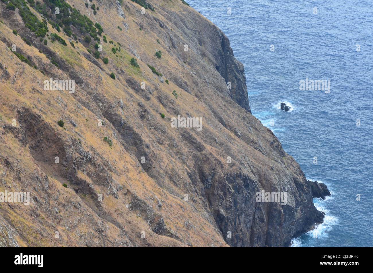 Vereda da Boca do Risco walking path in Madeira’s north-eastern coast ...