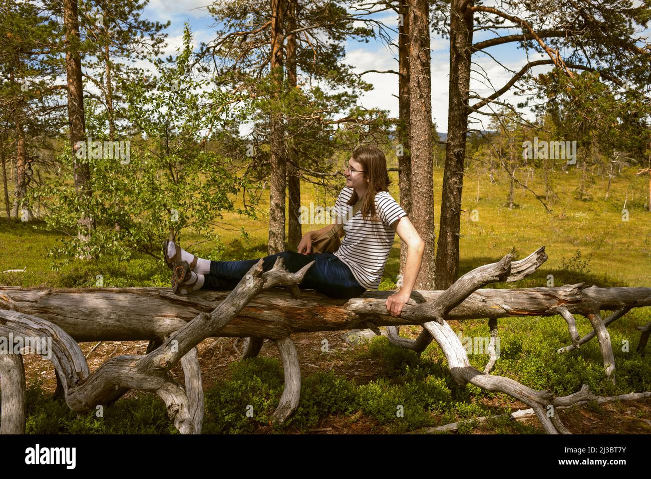 Sitting on fallen tree hi-res stock photography and images - Alamy