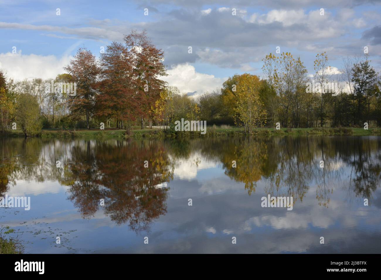 Beautiful shot park light hi-res stock photography and images - Alamy