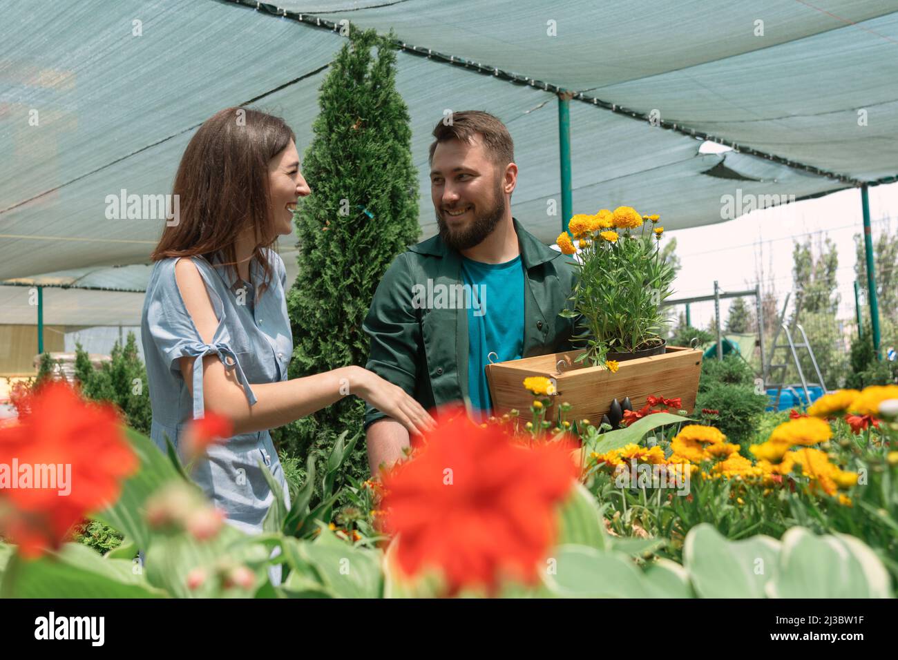 Worker helping female customer with plant in garden center Stock Photo ...