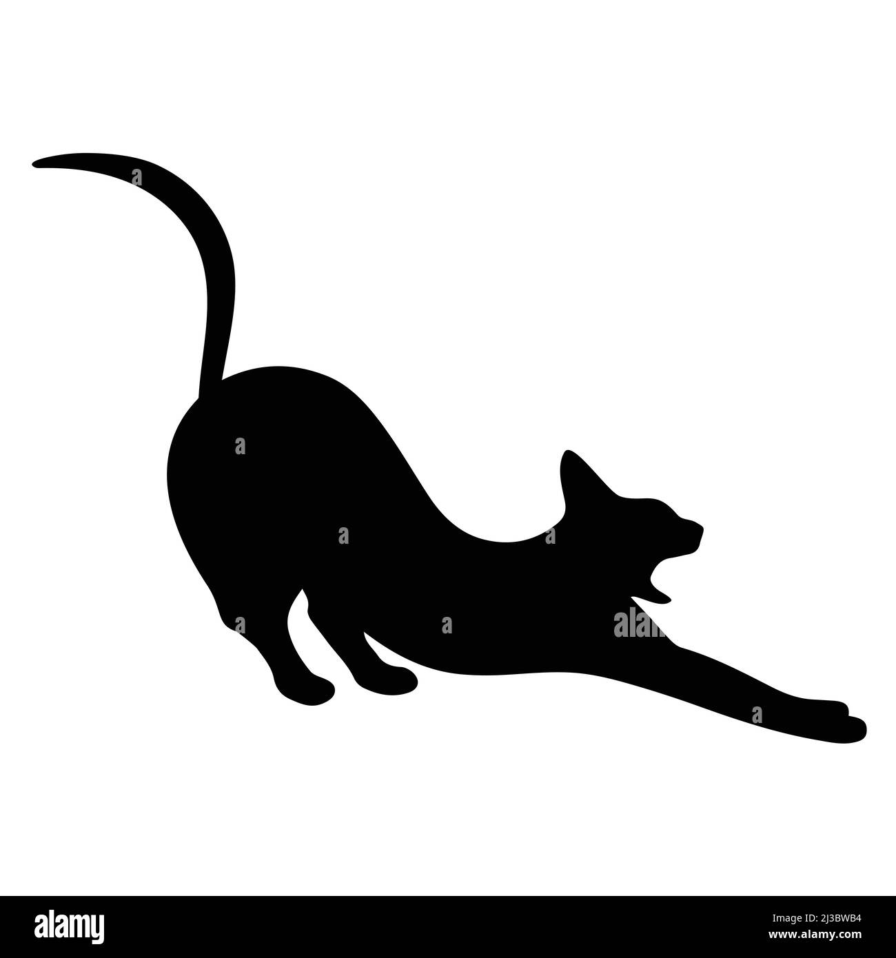 Arched cat hi-res stock photography and images - Alamy