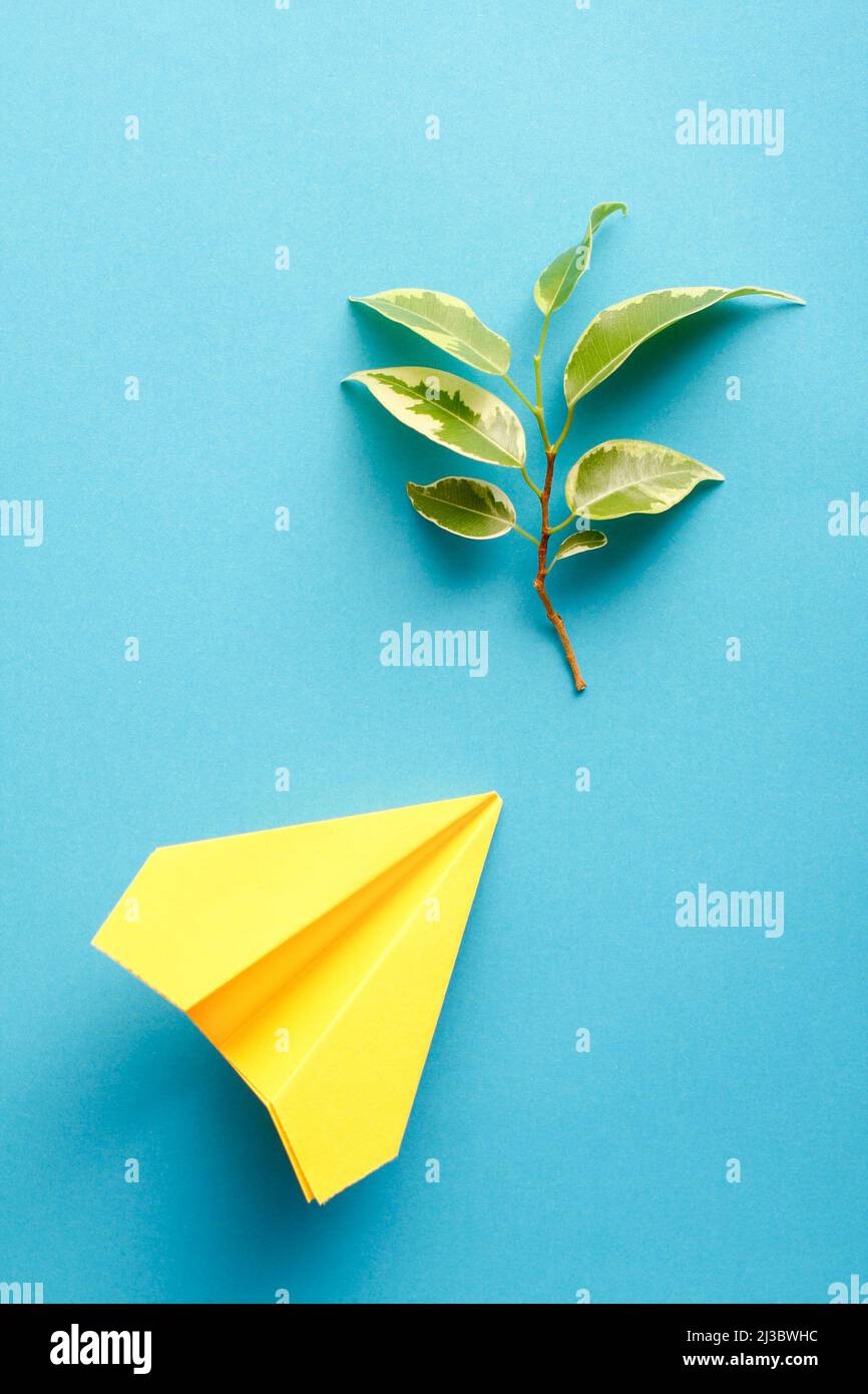 Yellow paper jet and a tree branch with green leaves on blue background ...