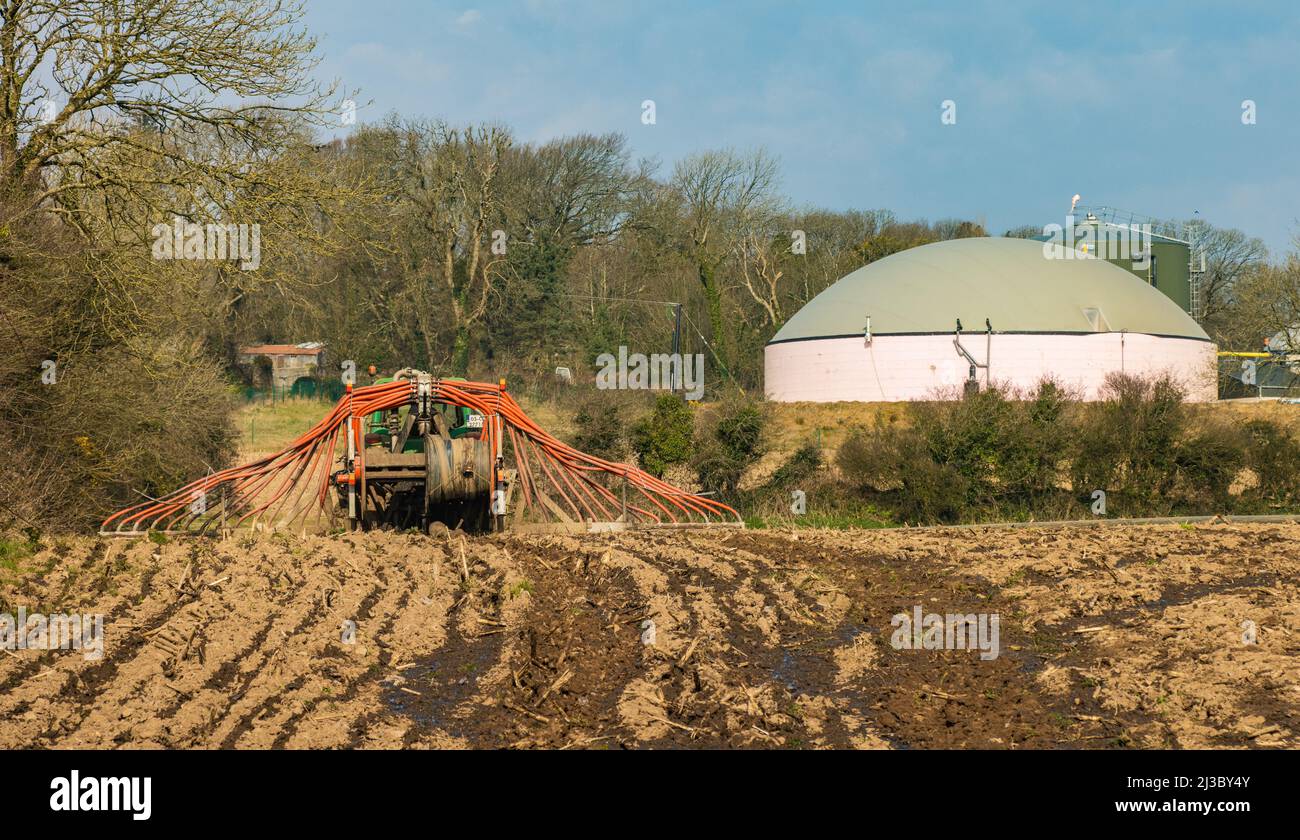 Umbilical system spreading digestate from nearby biodigester at ...