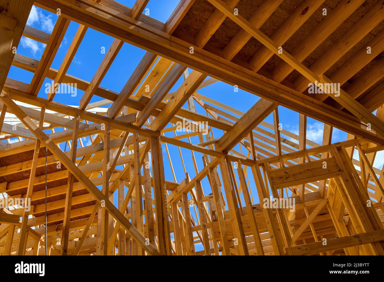 Natural Frame Structures