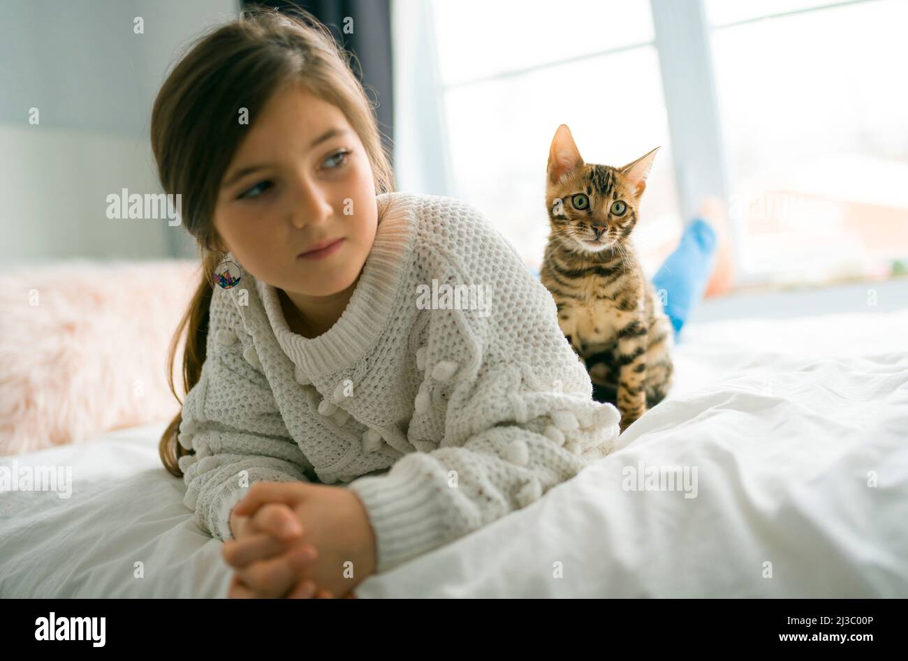 Sad cat bed hi-res stock photography and images - Alamy