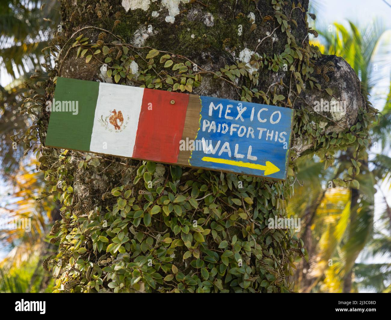 Hand-painted sign on vine-covered tree with Mexican flag "Mexico Paid ...