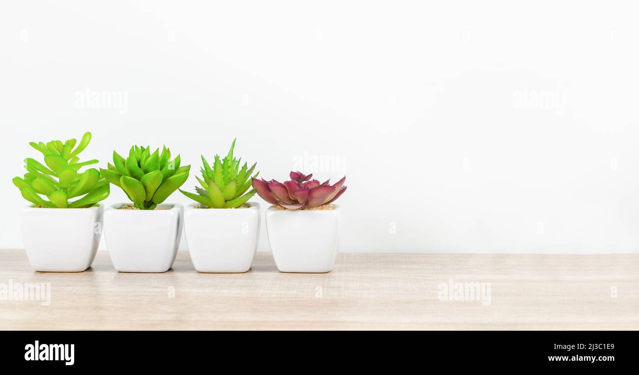 The Artificial cactus plant pot on wooden table with copy space Stock ...
