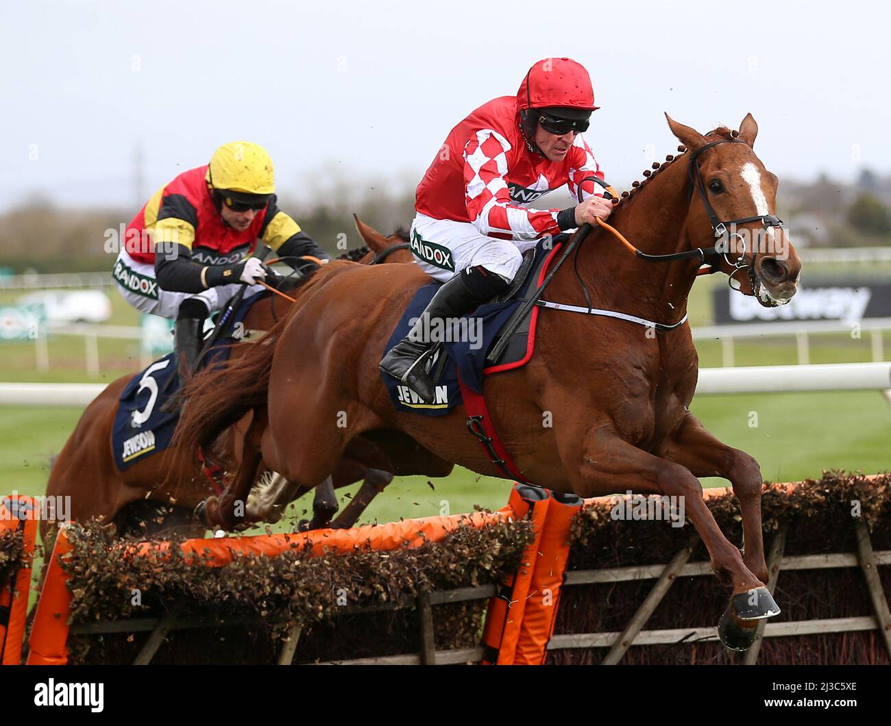 Knight salute horse hi-res stock photography and images - Alamy