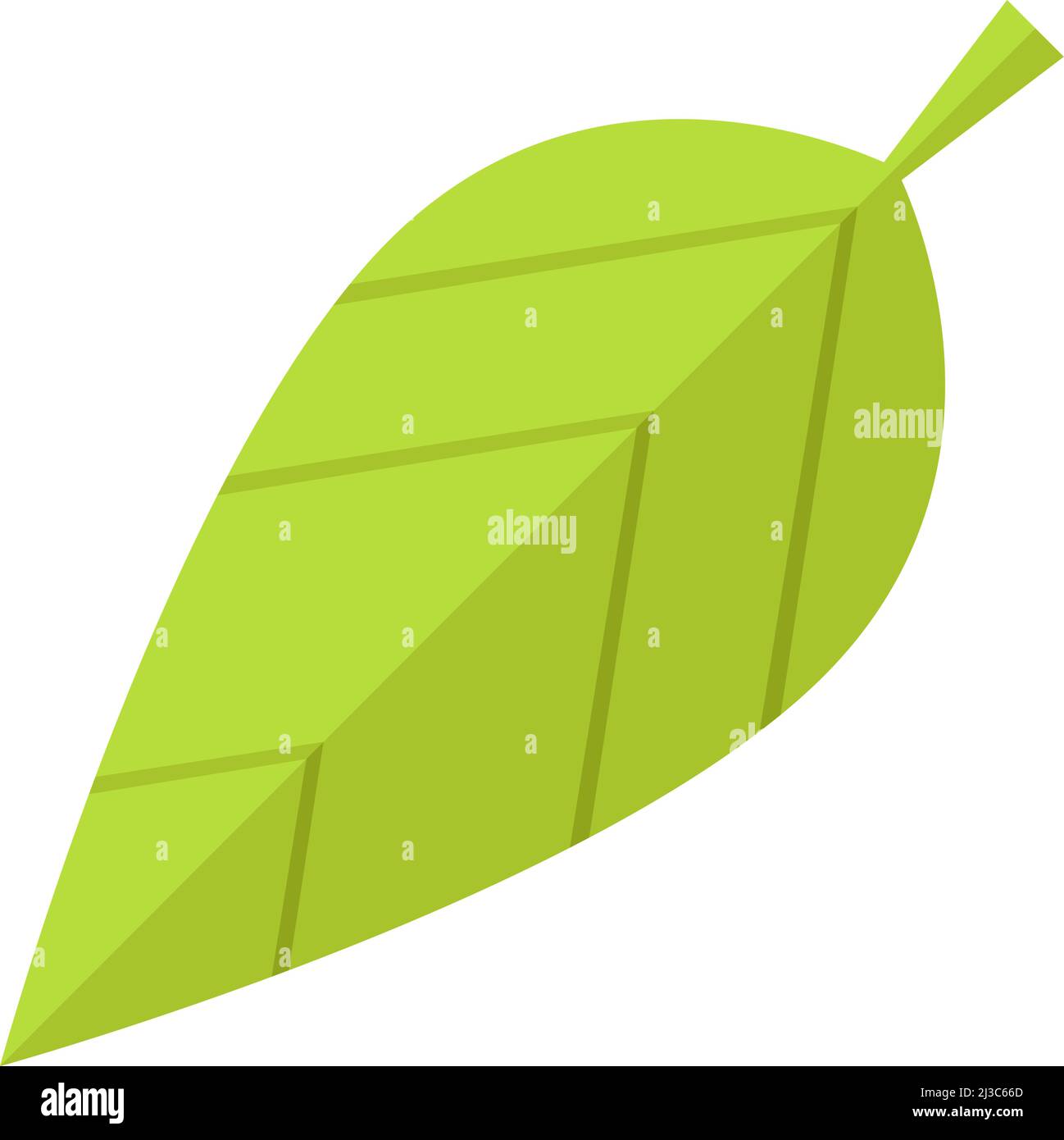 Green leaf. Fresh spring foliage symbol. Nature sign Stock Vector Image ...