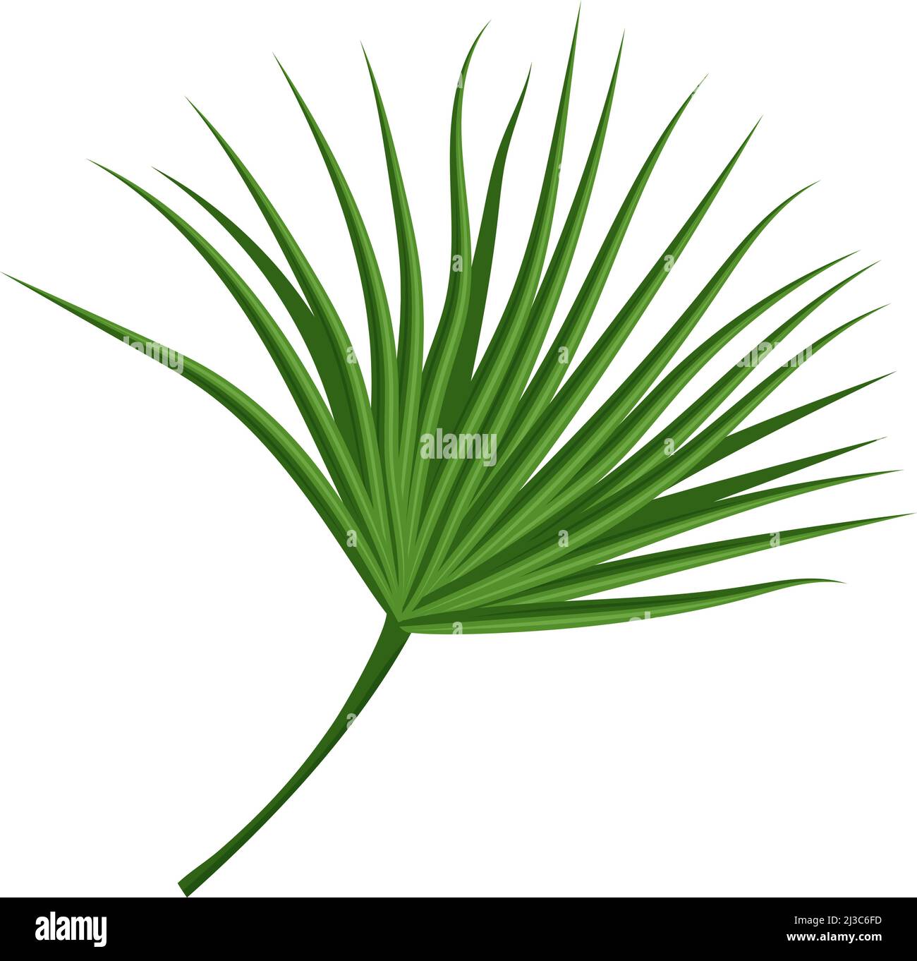 Fan leaf tree hi-res stock photography and images - Alamy
