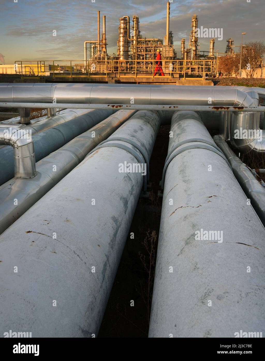 FILED - 15 November 2018, Saxony-Anhalt, Leuna: At TotalEnergies ...