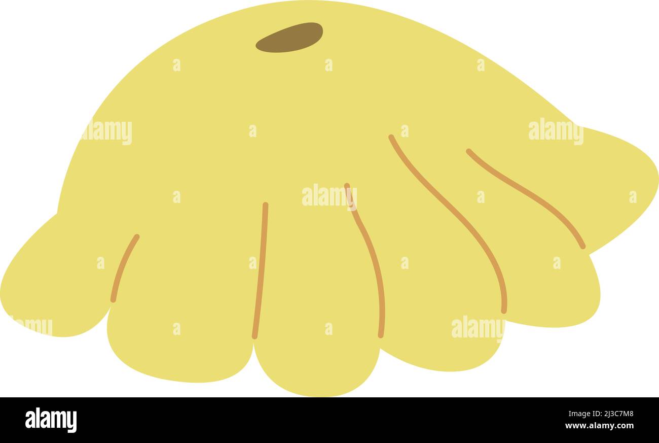 Summer squash Stock Vector Images - Alamy