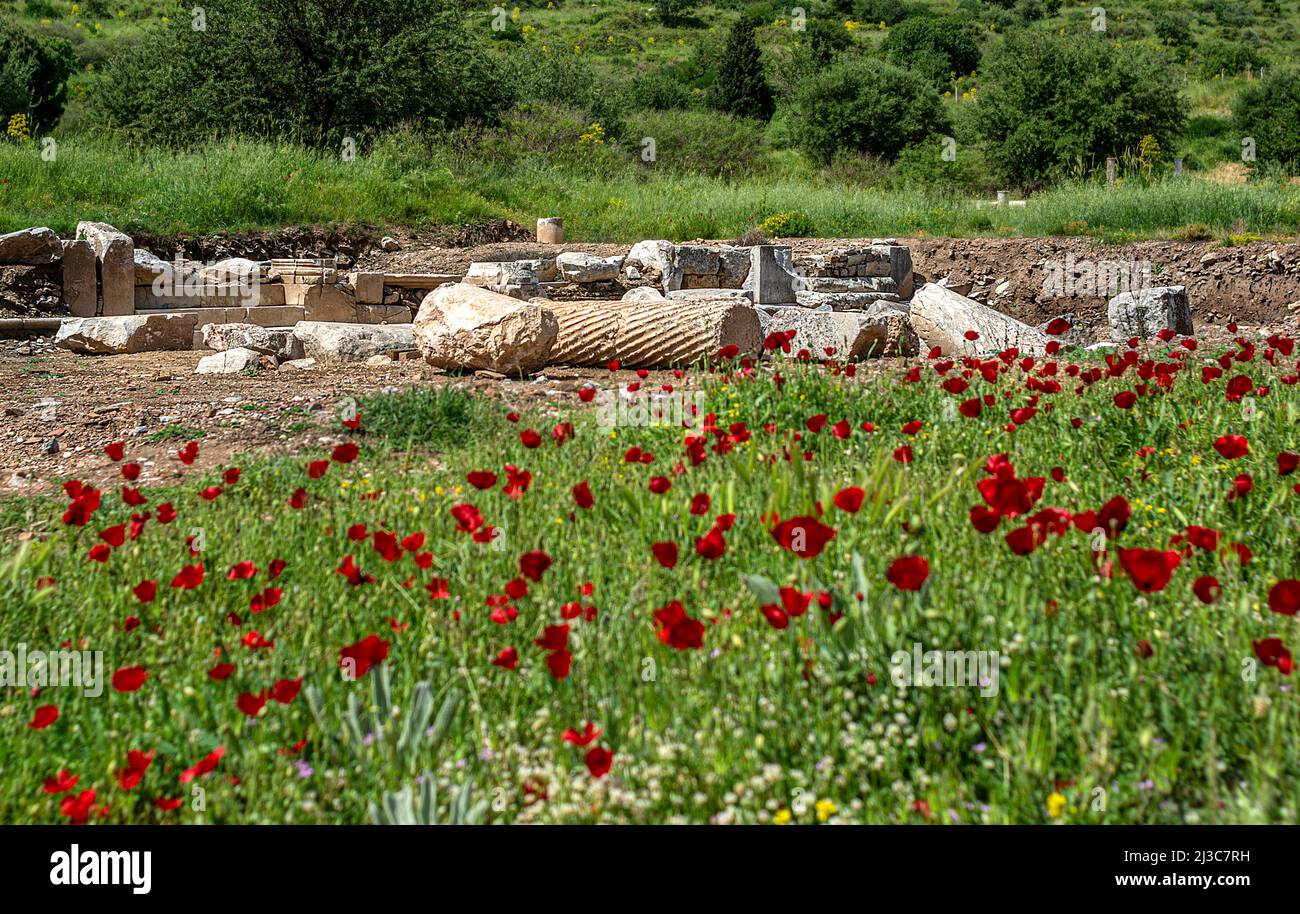 Efes ancient city Selcuk Izmir Turkey Stock Photo - Alamy