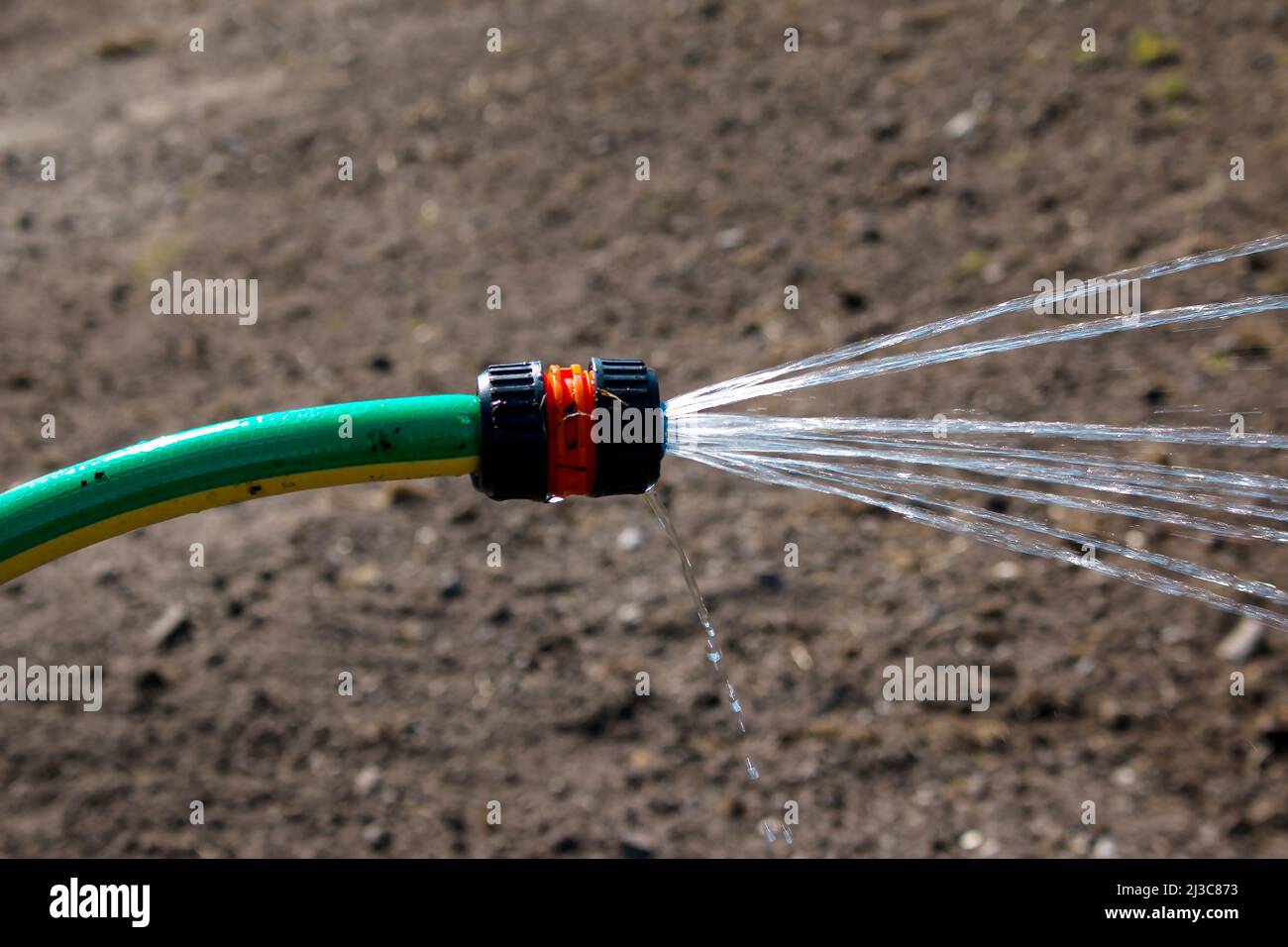 Hose for watering plants in the garden. A powerful jet, a stream of ...