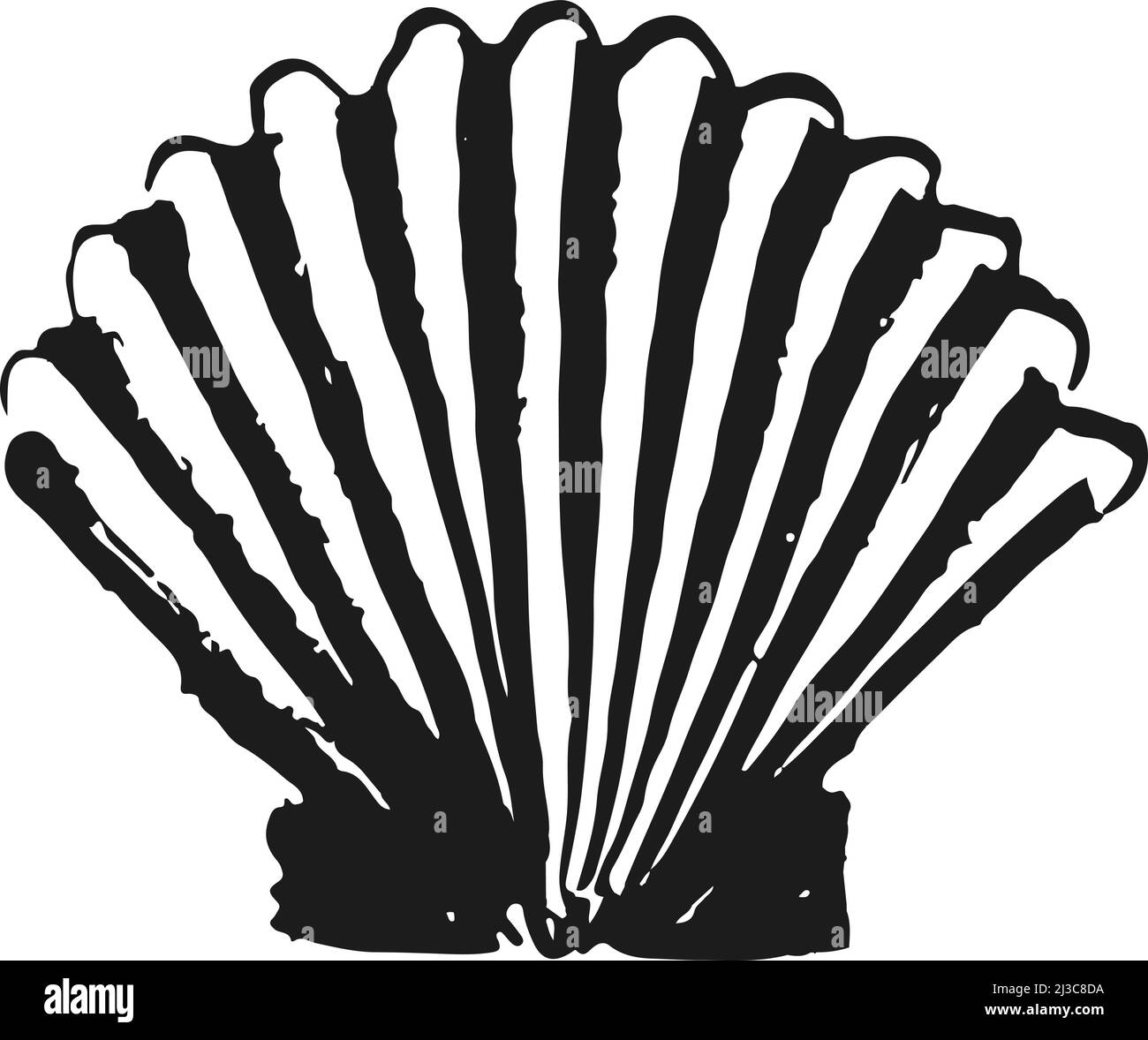 Cockle shell. Sea animal in hand drawn style. Exotic beach symbol Stock ...