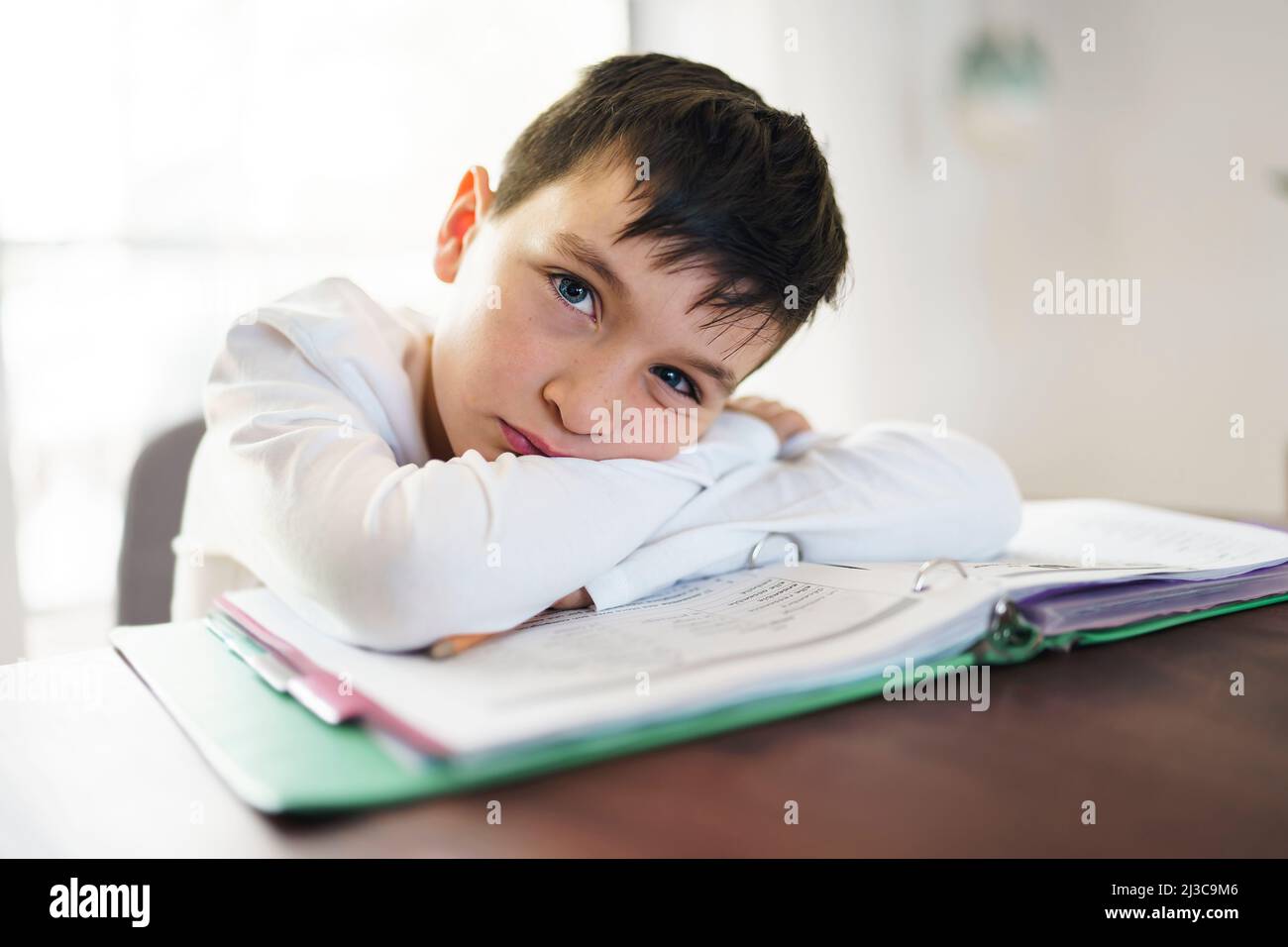 Frustrated Child Homework